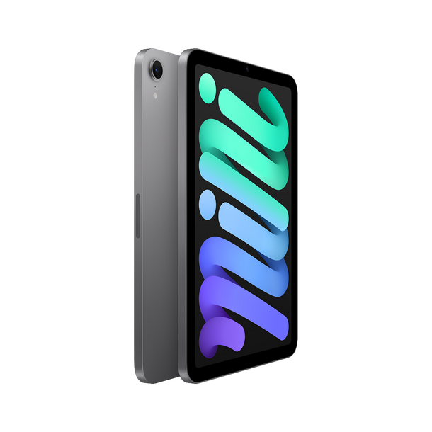 iPad Mini 7 128 GB WiFi 8.3 Space Gray Refurbished A Grade – Telecomhunter